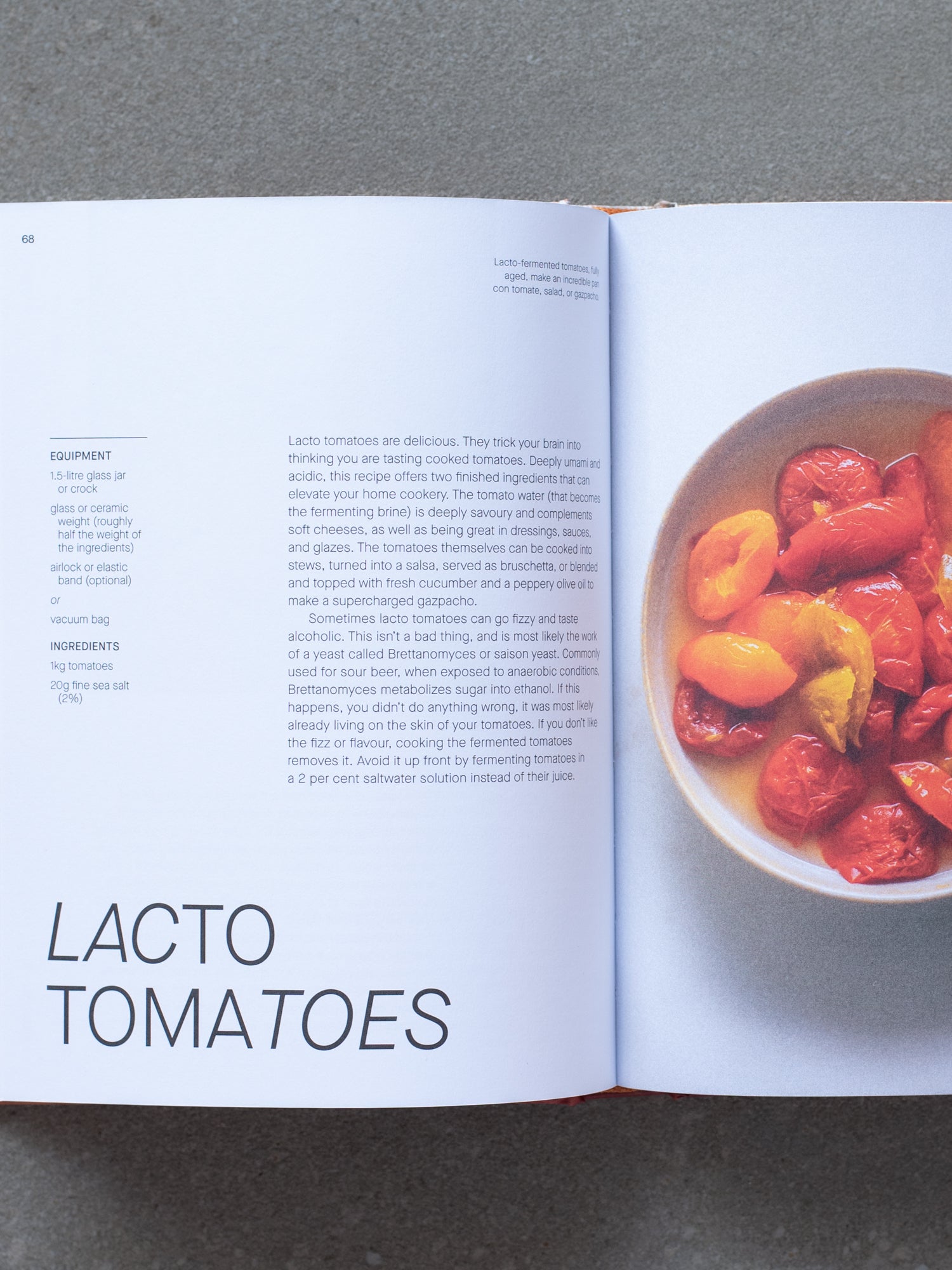 The Fermentation Kitchen – Mujo Store