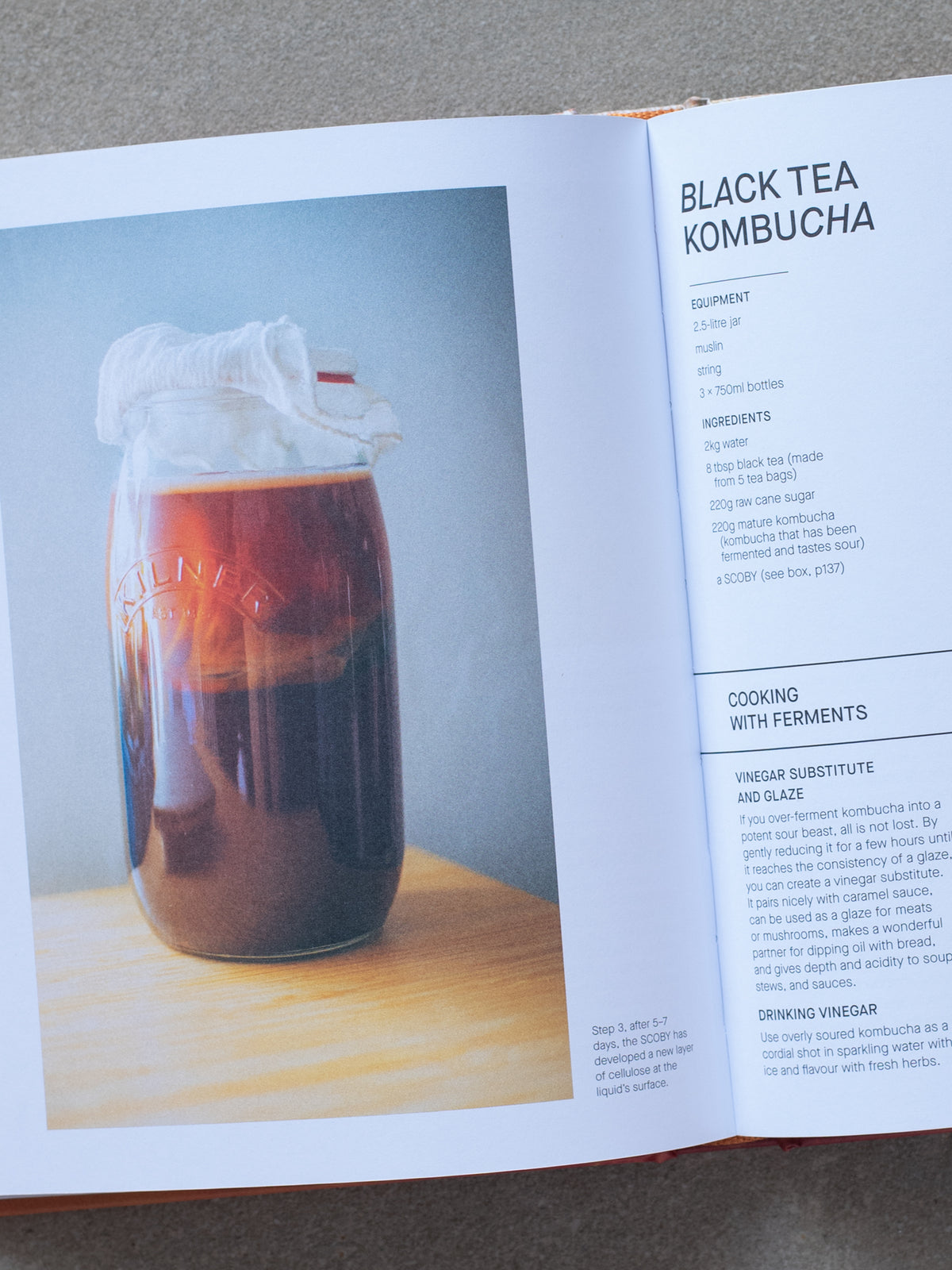 The Fermentation Kitchen – Mujo Store