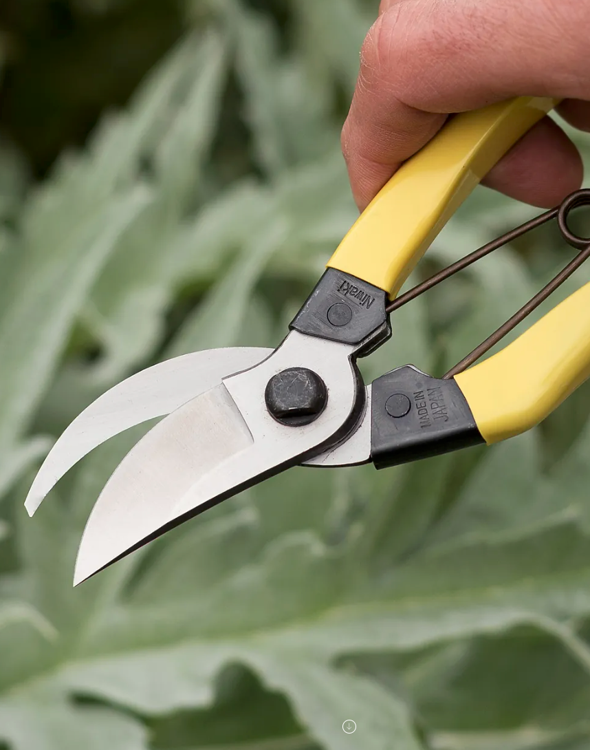 Niwaki Mainichi Secateurs Japanese Pruners – Mujo Store